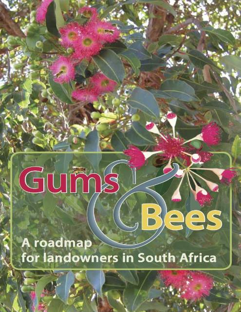 Bee Forage Calendars | Beekeeping Business Magazine